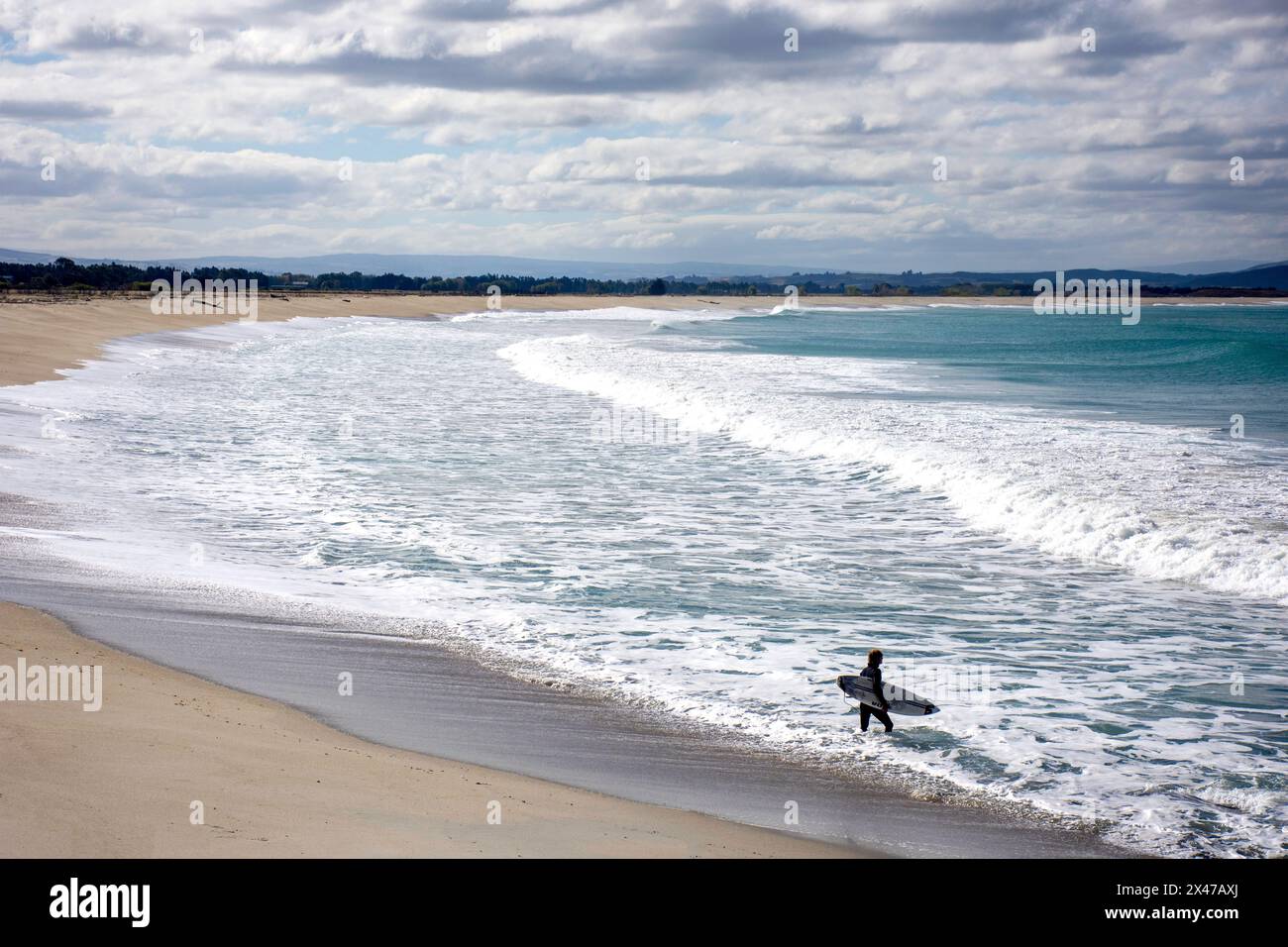 Male surfer at Kaka Point Beach, Molyneux Bay, Port Molyneux, Otago ...