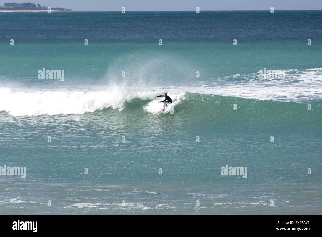 Male surfer at Kaka Point Beach, Molyneux Bay, Port Molyneux,Otago, New ...