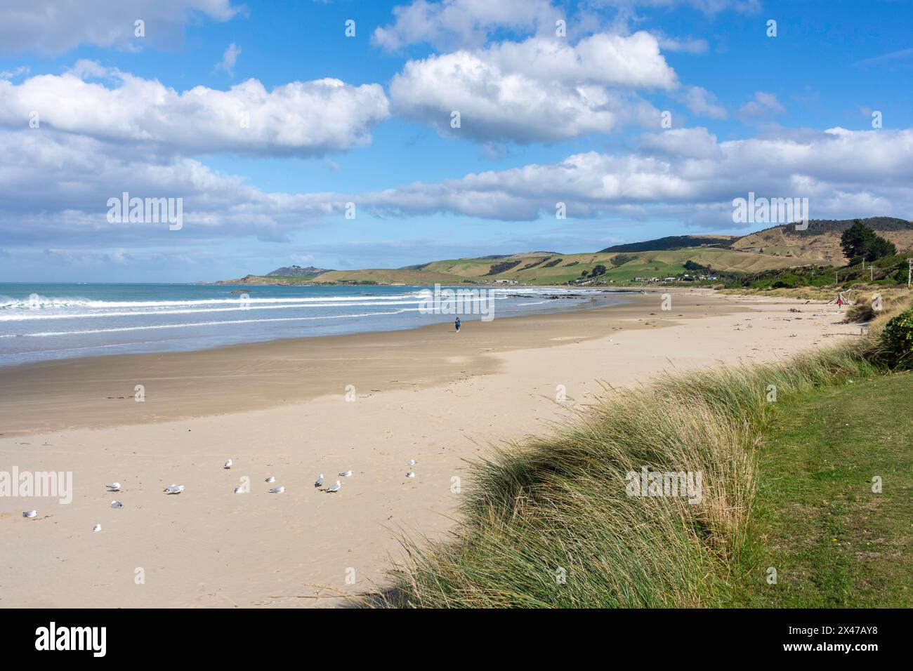 Beach view, Kaka Point, The Catlins Coast, Otago, New Zealand Stock ...