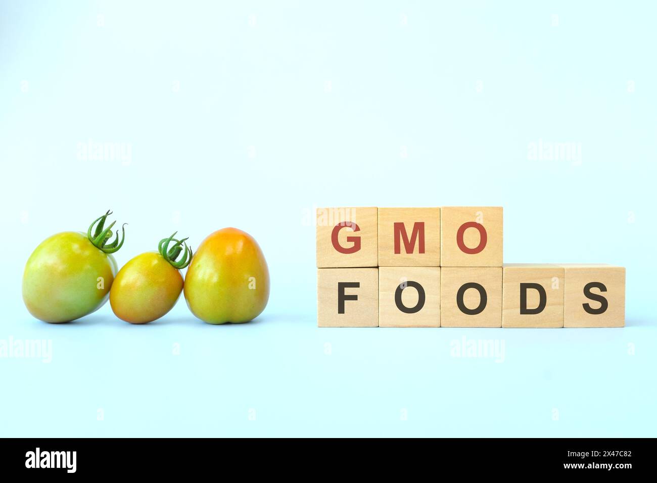 GMO or genetically modified organisms food and crop concept. Typography in blue background Stock ...