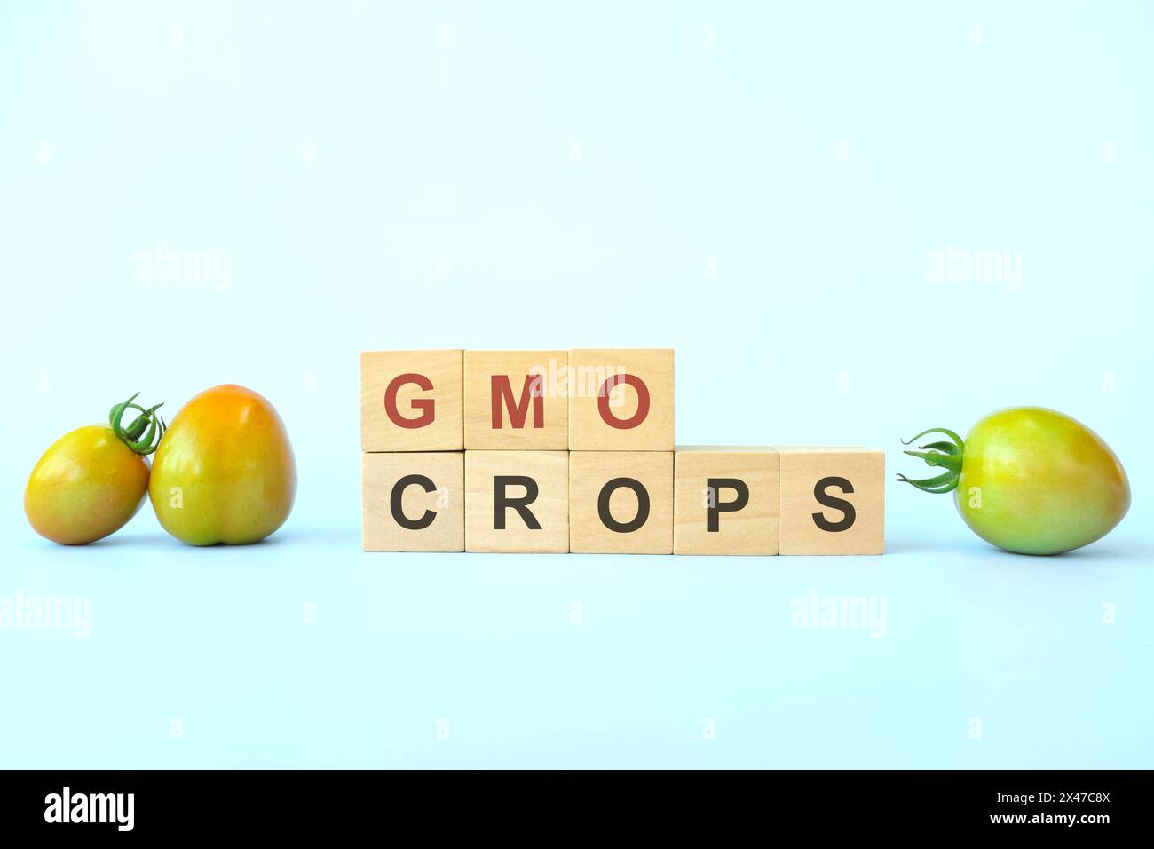 GMO or genetically modified organisms food and crop concept. Typography ...