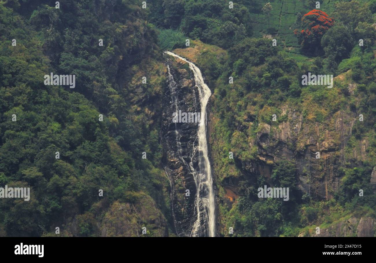lush green nilgiri mountains and beautiful catherine waterfall from ...