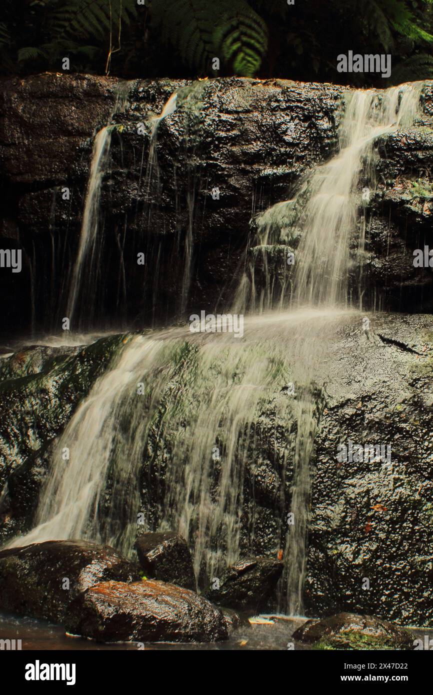 beautiful vattakanal waterfall on levinge stream, in a tropical ...