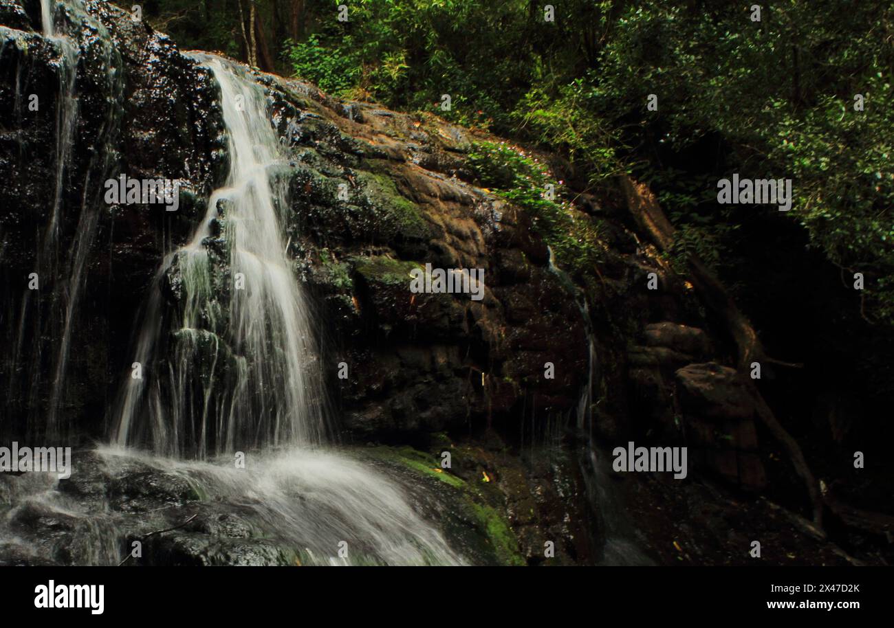 beautiful vattakanal waterfall on levinge stream, in a tropical ...