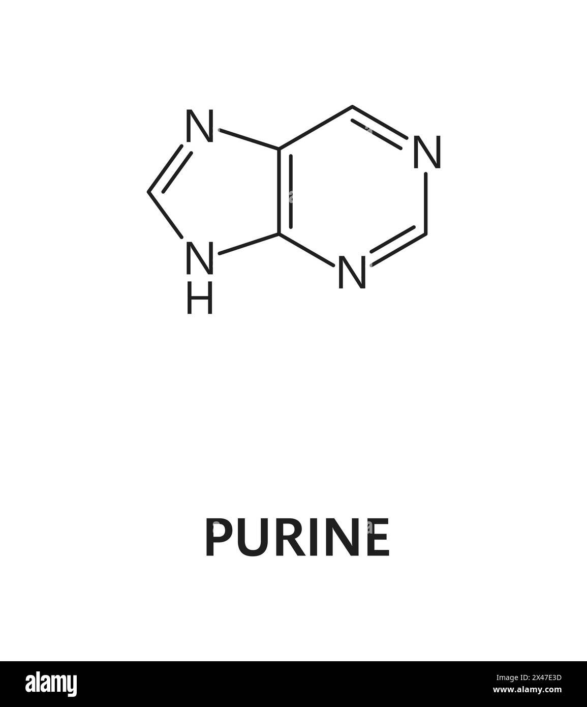 Purine nucleic acid, nitrogenous base, nitrogen and hydrogen formula ... Purine nucleic acid, nitrogenous base, nitrogen and hydrogen formula ...