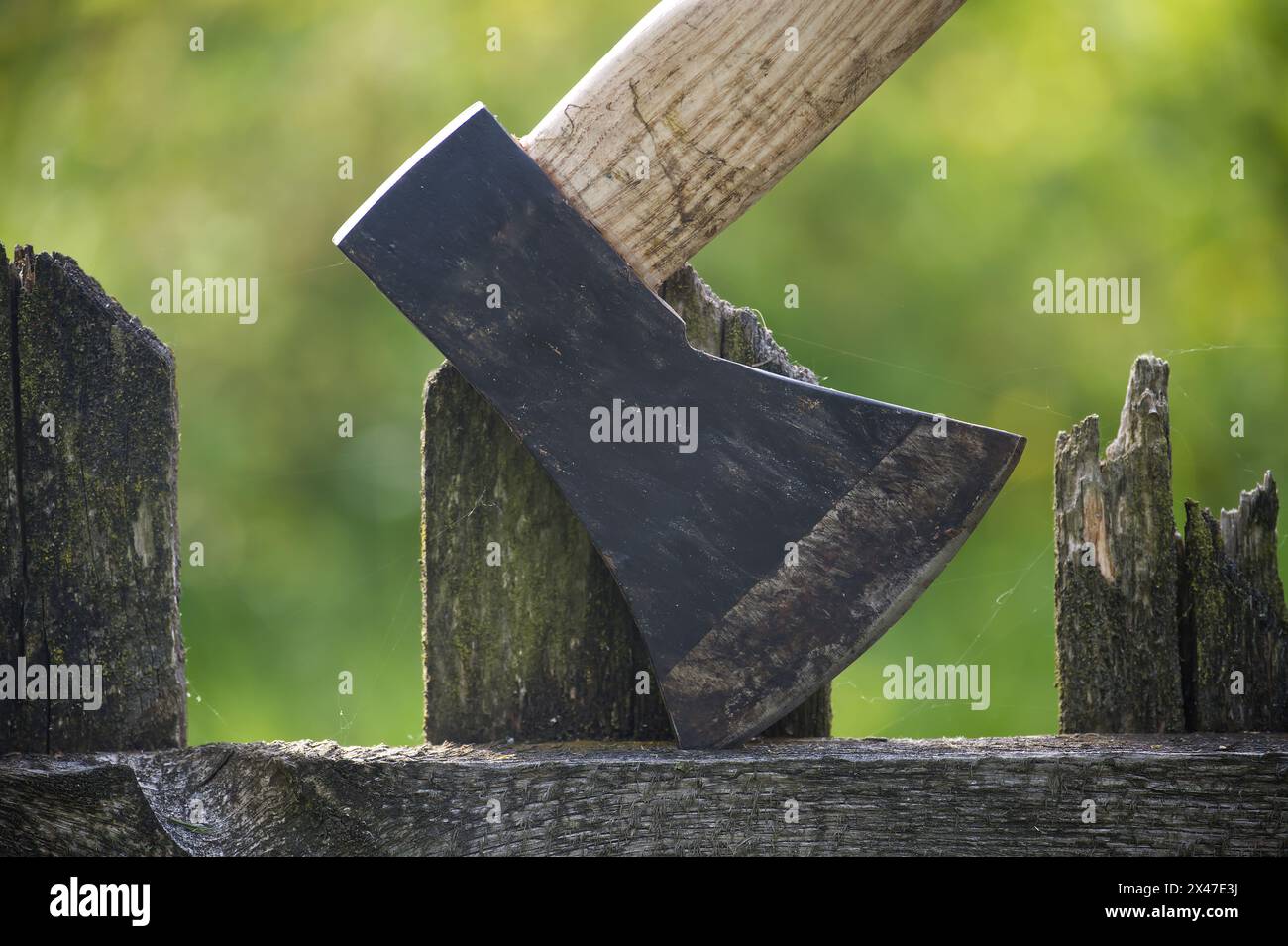 Close up of an axe with brown handle and dark grey blade embedded in an ...