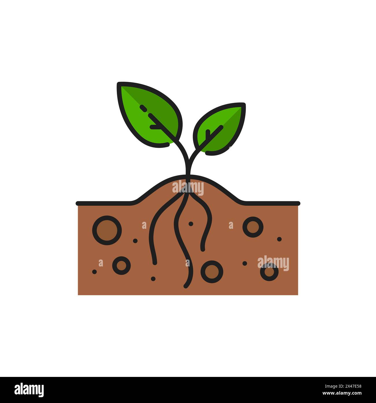 Agriculture spring sprout leaves, agronomy soil seedling, horticulture ...