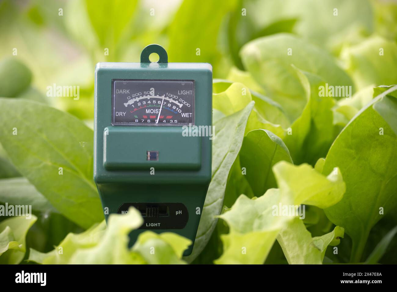 Agricultural meter to measure the soil pH, light and moisture level of ...