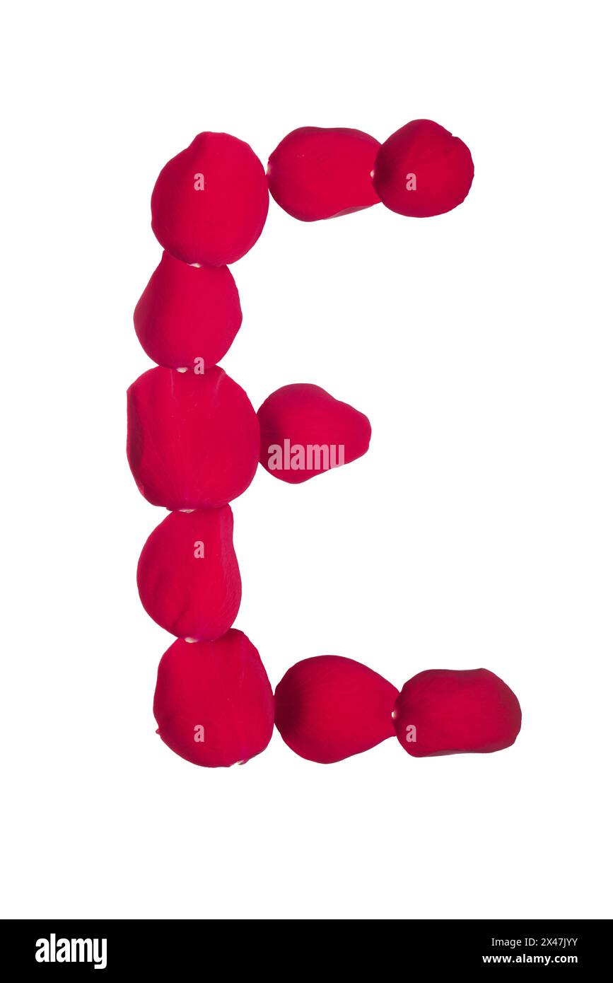 Letter E formed of red rose petals of white background. Symbolizes ...