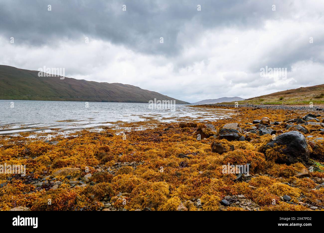 Dramatic view of Scottish loch lake and mountains with golden evening ...