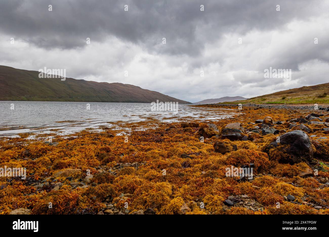 Dramatic view of Scottish loch lake and mountains with golden evening ...