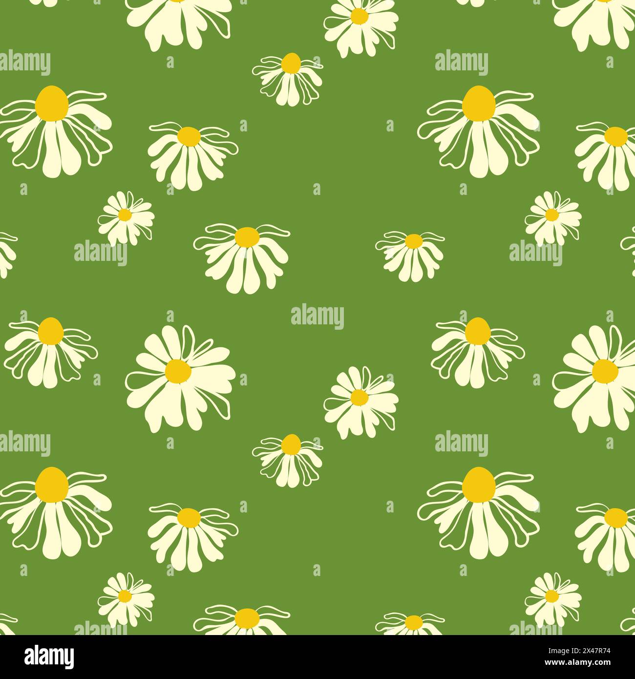 Summer Daisy Background Green Seamless Pattern Spring Blooming ...