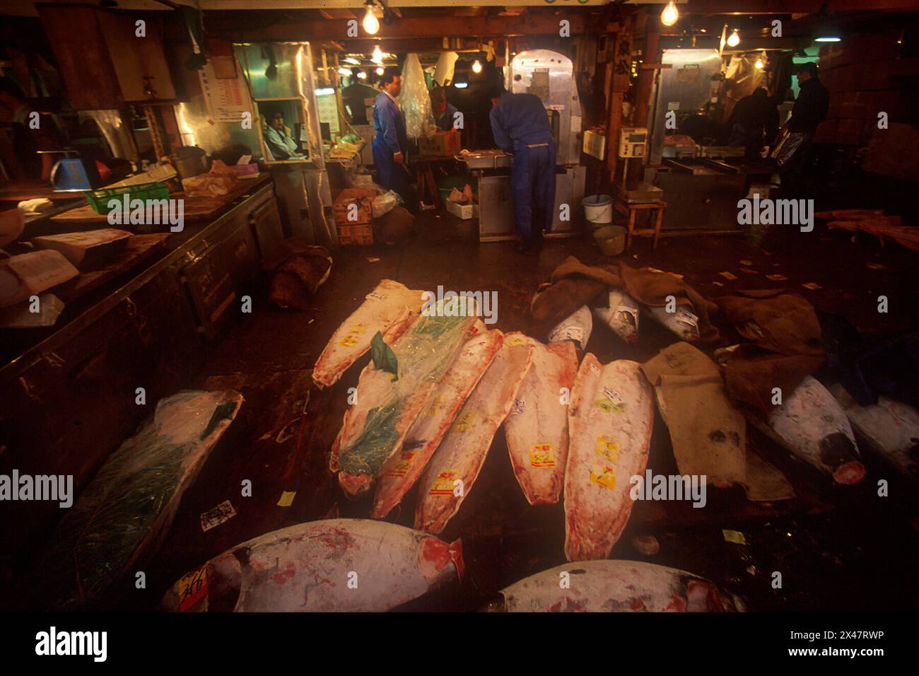 Tuna carcasses, taken in 1996, Tsukiji fish market, Tokyo, Japan Stock ...