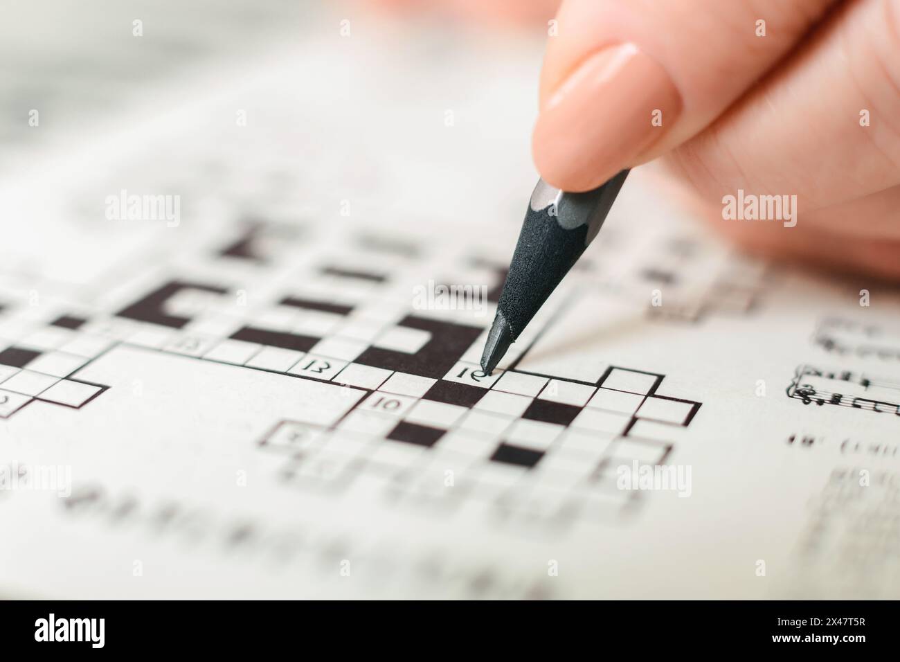 Person Using Pencil to Solve Crossword Puzzle Stock Photo - Alamy