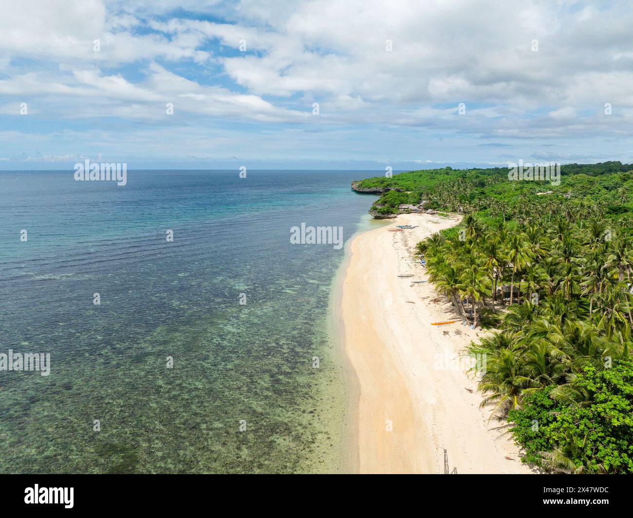 Drone view of boats and coconut trees in sandy beach. Beach in Lanas ...