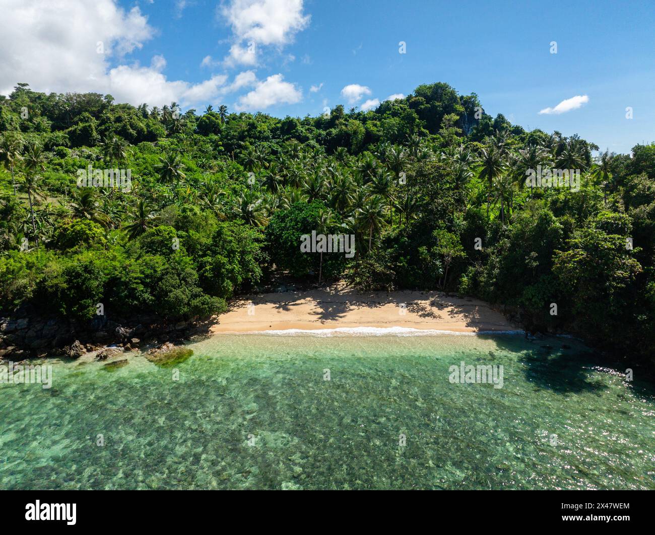 Aerial view of small beach with coconut trees and waves. Romblon ...