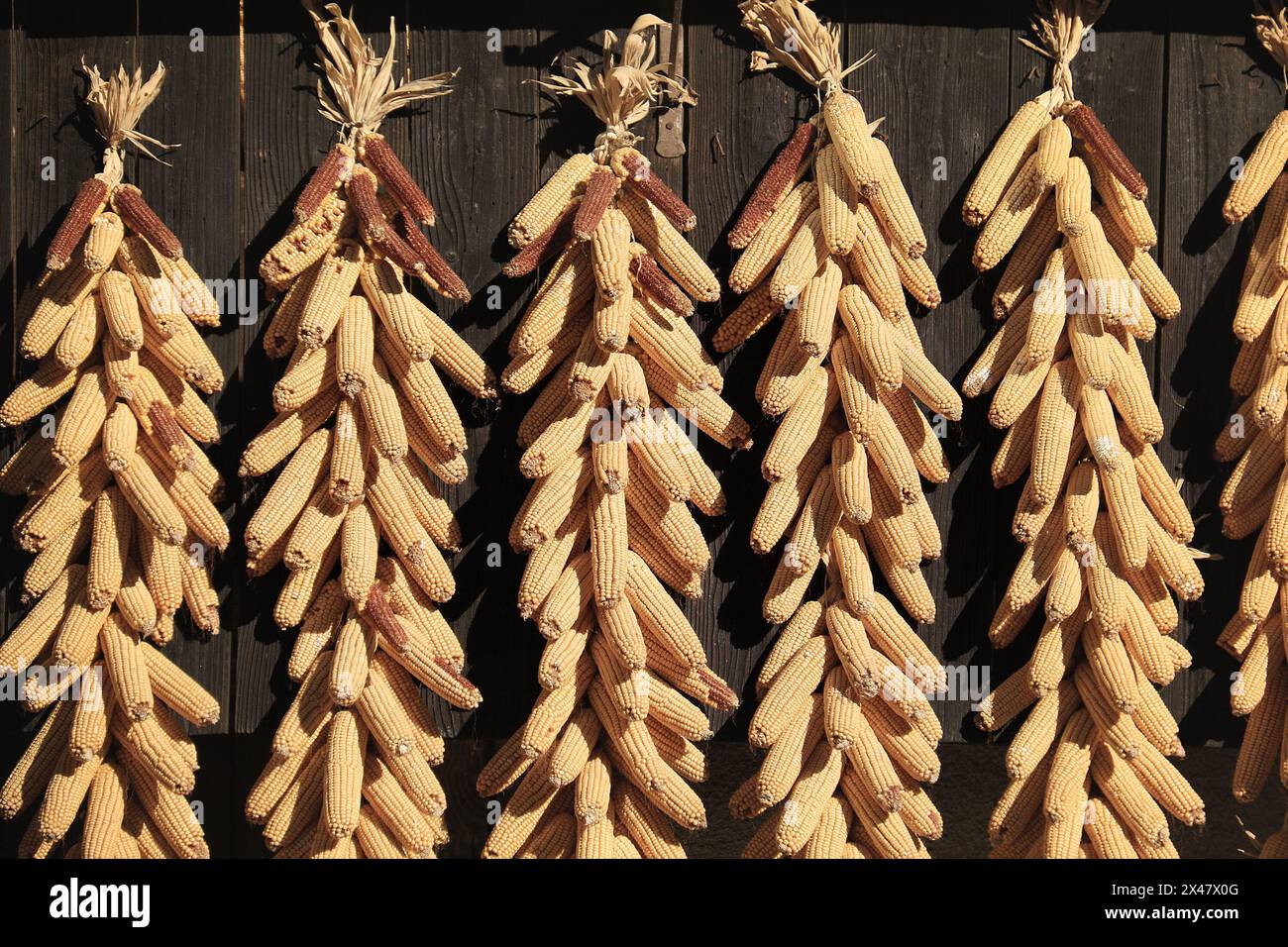 Rustic wooden corn barn hi-res stock photography and images - Alamy