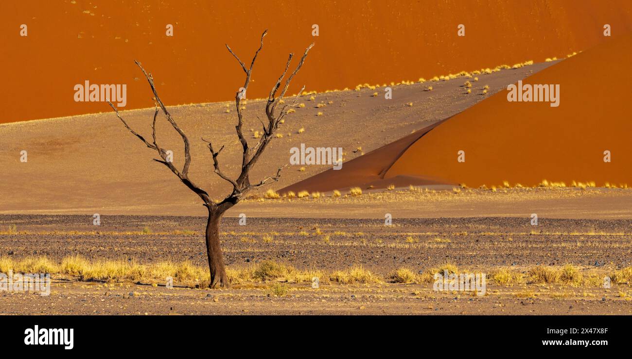 Namib dunes Landscape Stock Photo - Alamy
