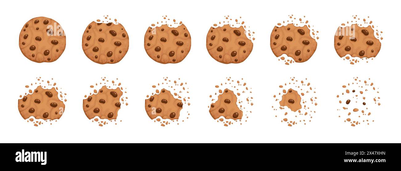 Bitten chocolate chip cookie. Crunch homemade brown biscuits broken ...