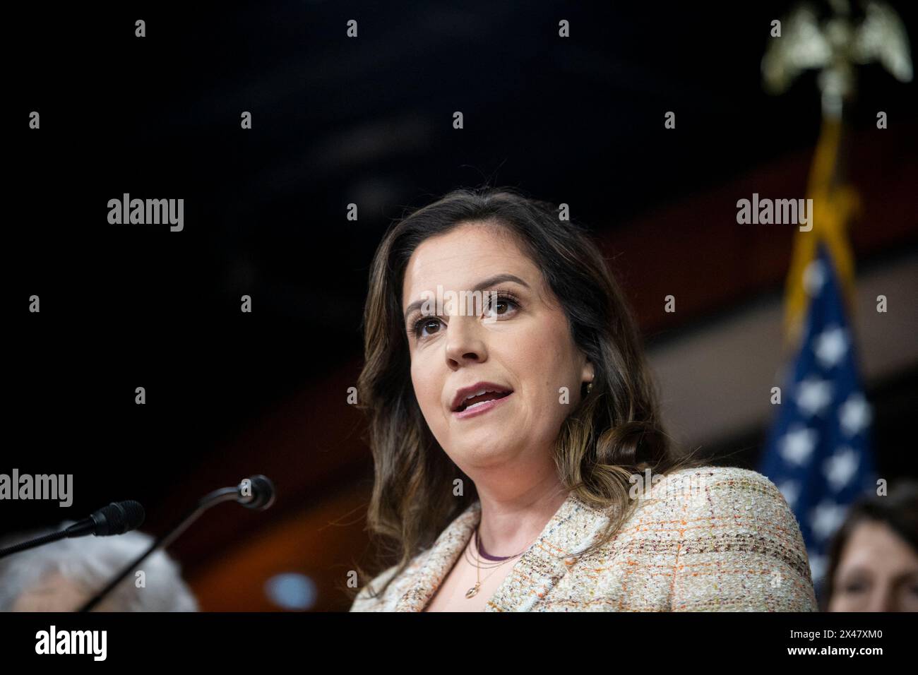 House republican Conference Chair Elise Stefanik (Republican of New ...