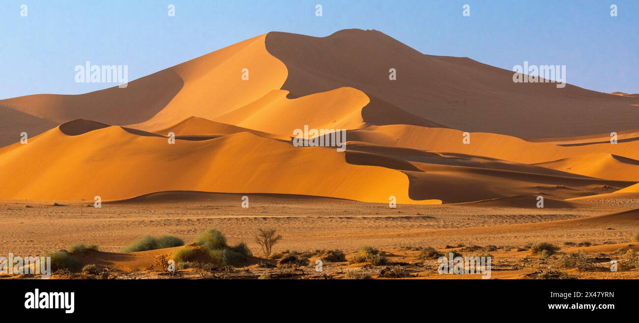 Panoramic view of the Namib Dune Stock Photo - Alamy