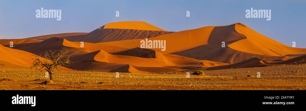Panoramic of Namib Dune Stock Photo - Alamy