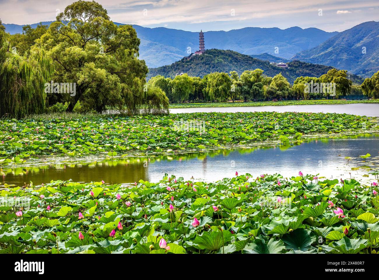 Yue Feng Pagoda, Summer Palace, Beijing, China Stock Photo - Alamy