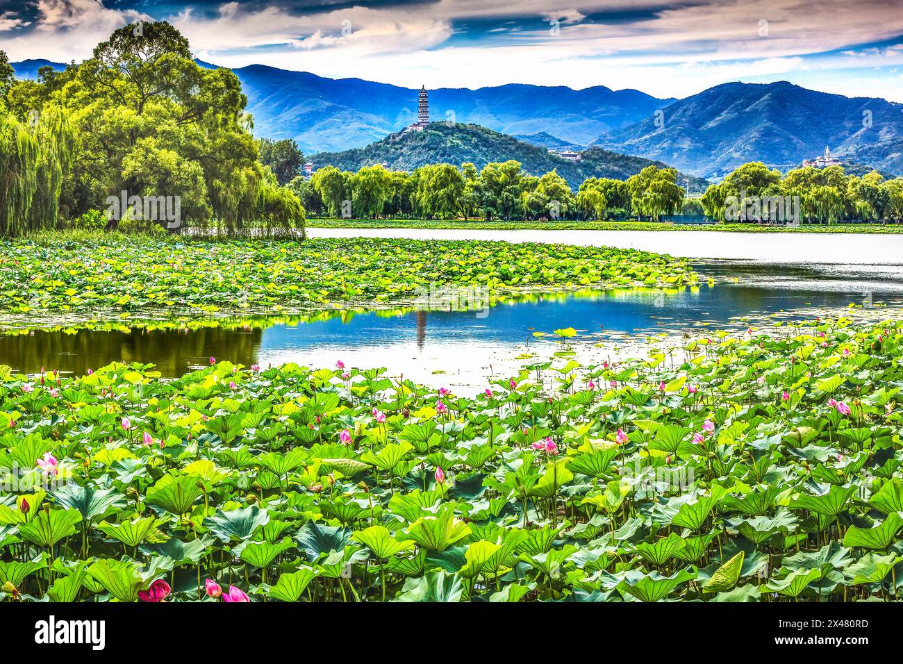 Yue Feng Pagoda reflection, Summer Palace, Beijing, China Stock Photo ...