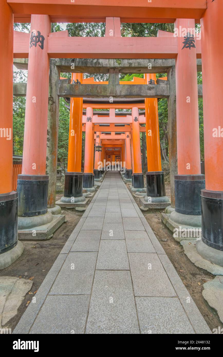 Japan, Kyoto. Fushimi Inari Grand Shrine, One Thousand Gates Stock ...
