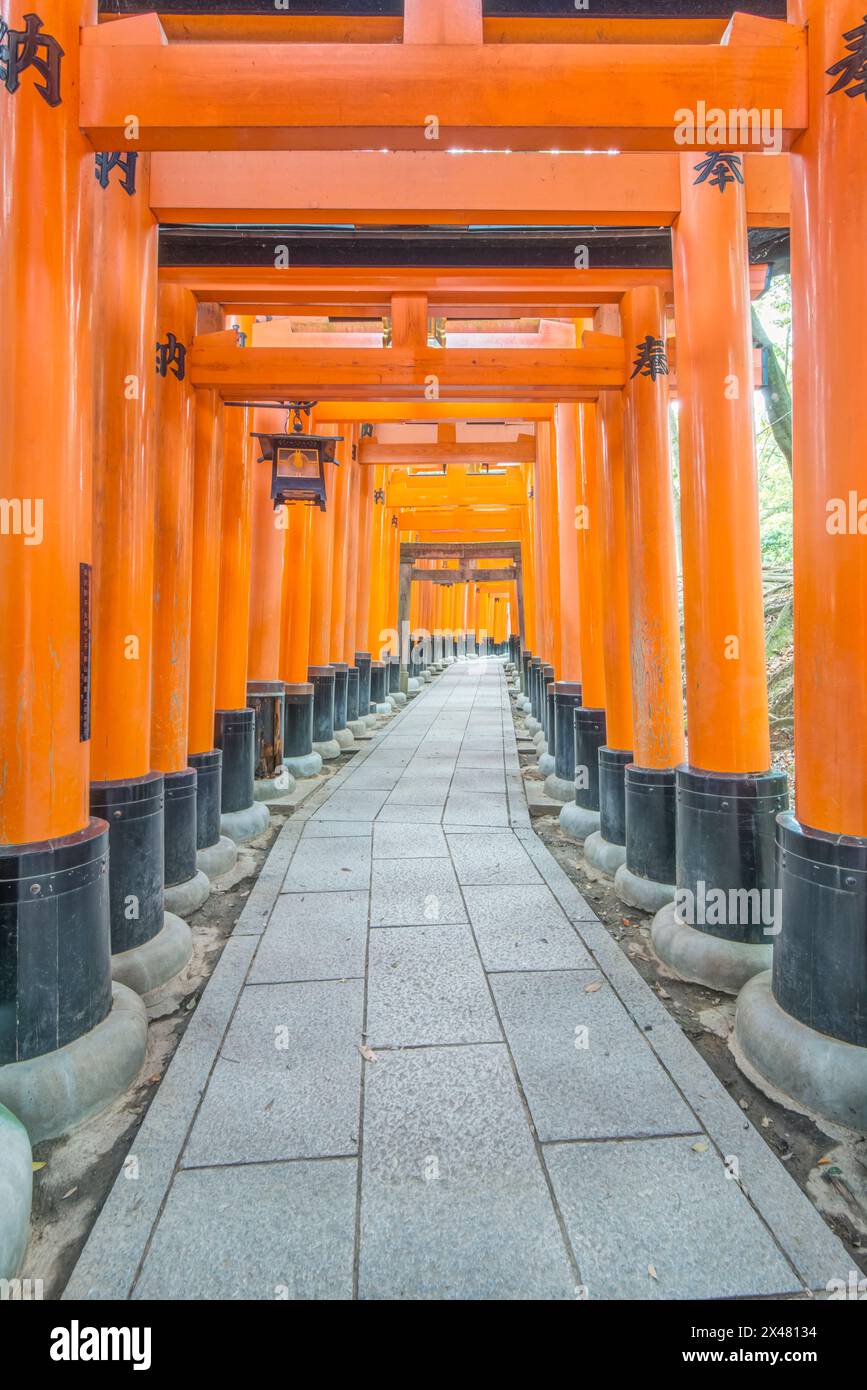 Japan, Kyoto. Fushimi Inari Grand Shrine, One Thousand Gates Stock ...