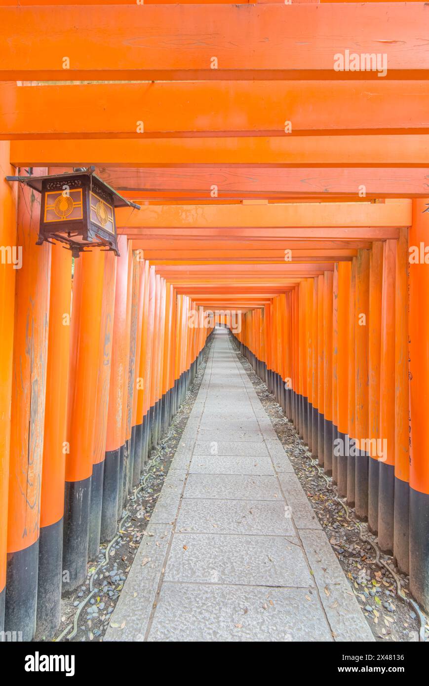 Japan, Kyoto. Fushimi Inari Grand Shrine, One Thousand Gates Stock ...