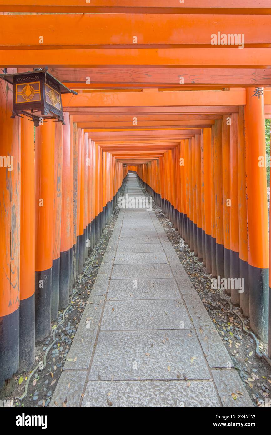 Japan, Kyoto. Fushimi Inari Grand Shrine, One Thousand Gates Stock ...