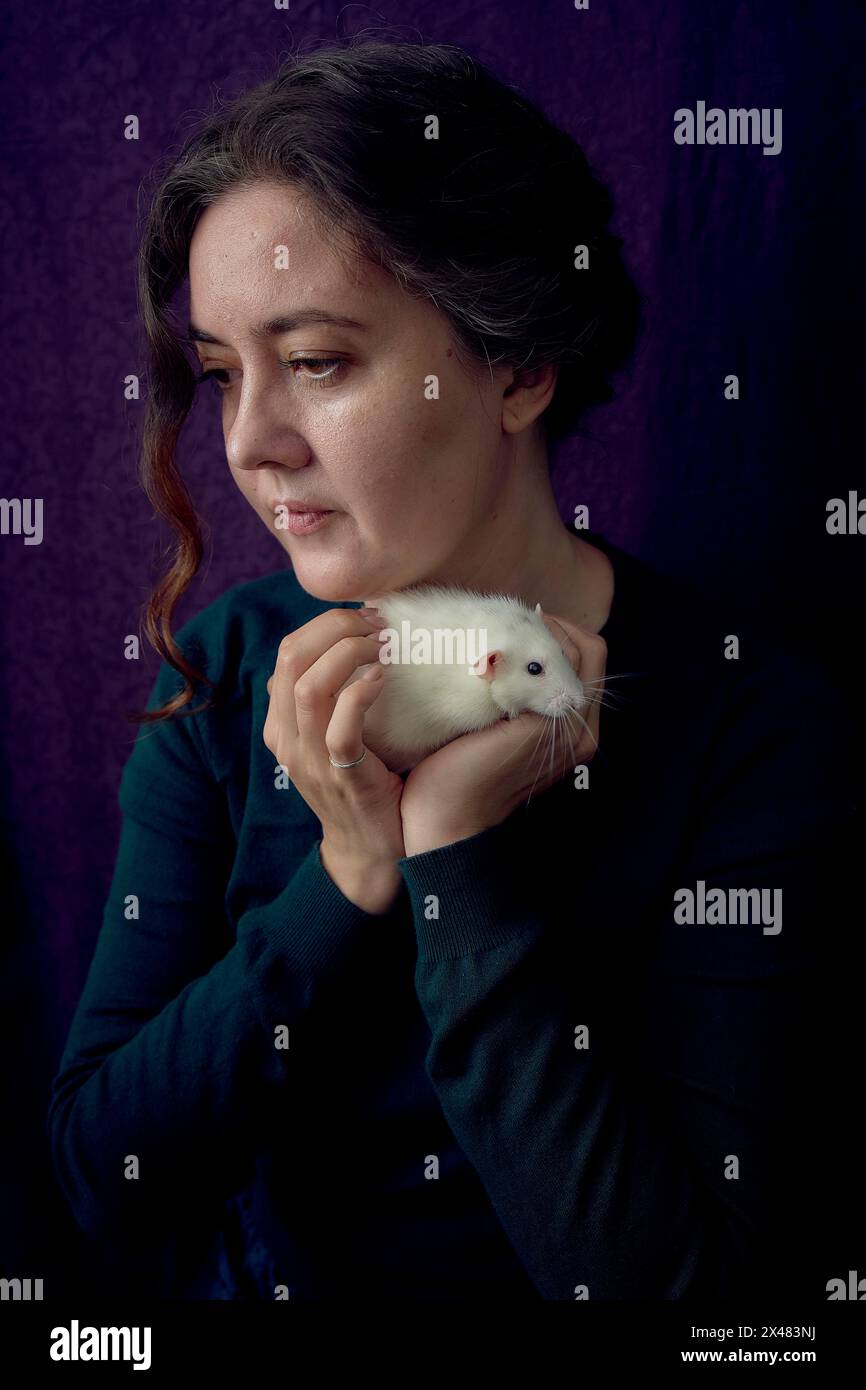 husky dumbo rat cuddles with its owner Stock Photo - Alamy