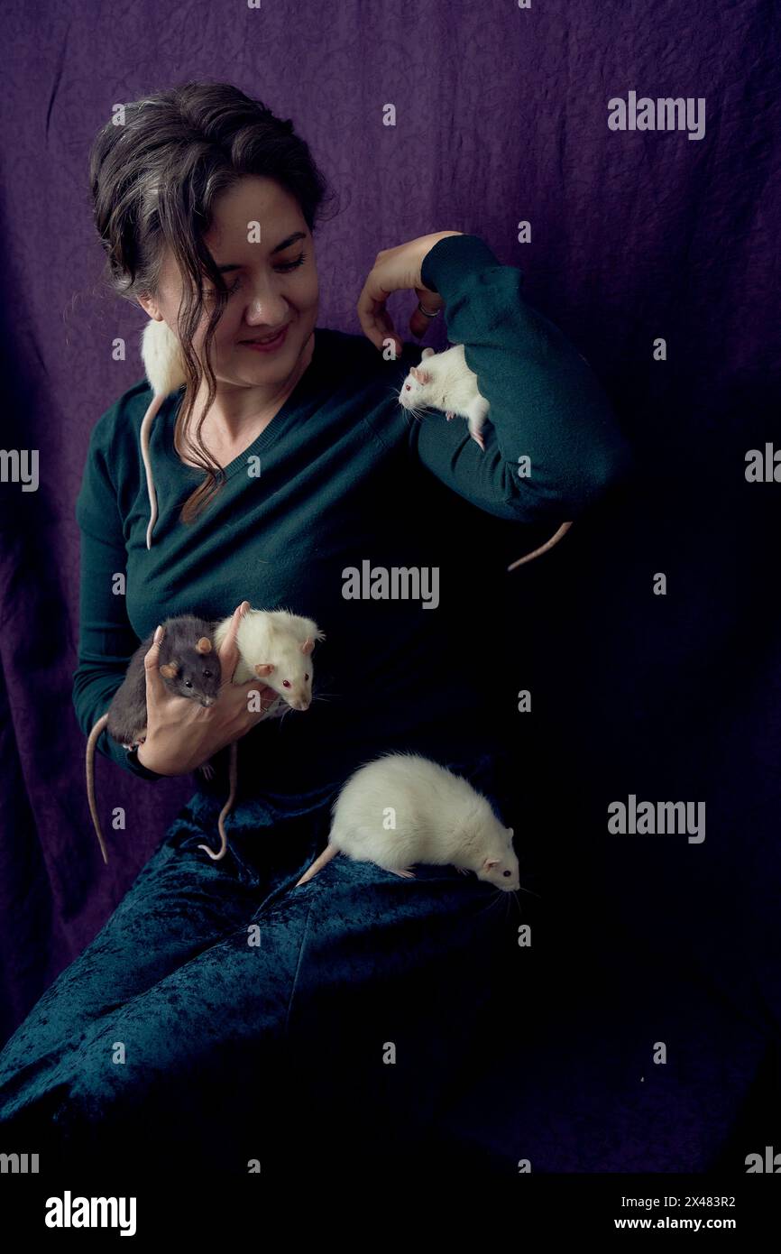 woman holds all her five rats in her hands Stock Photo - Alamy