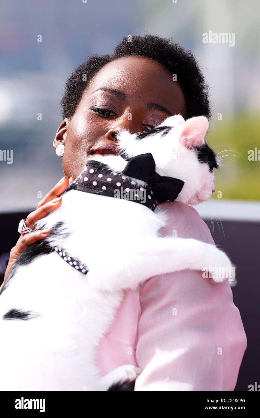 Lupita Nyong'o and cat Schnitzel during a photocall for A Quiet Place ...