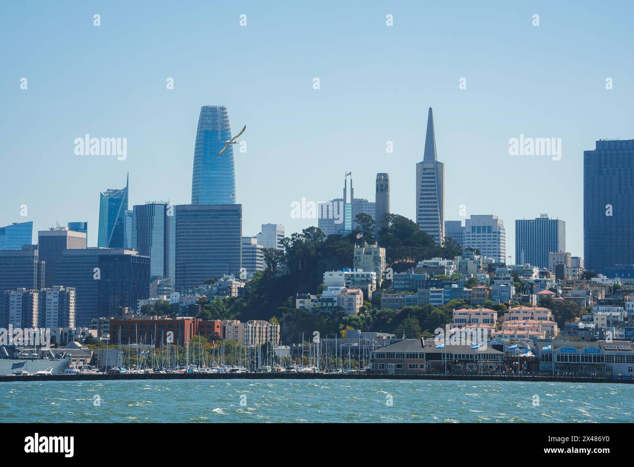 San Francisco skyline view with Transamerica Pyramid Stock Photo - Alamy