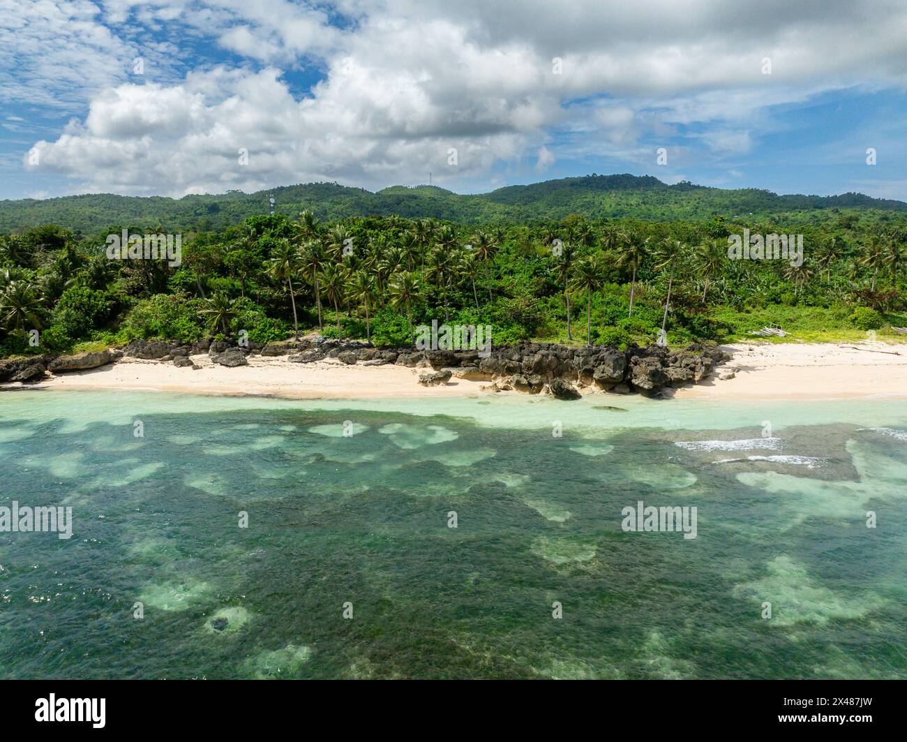 Scenic landscape of beach with palm trees in Carabao Island. Blue sky ...