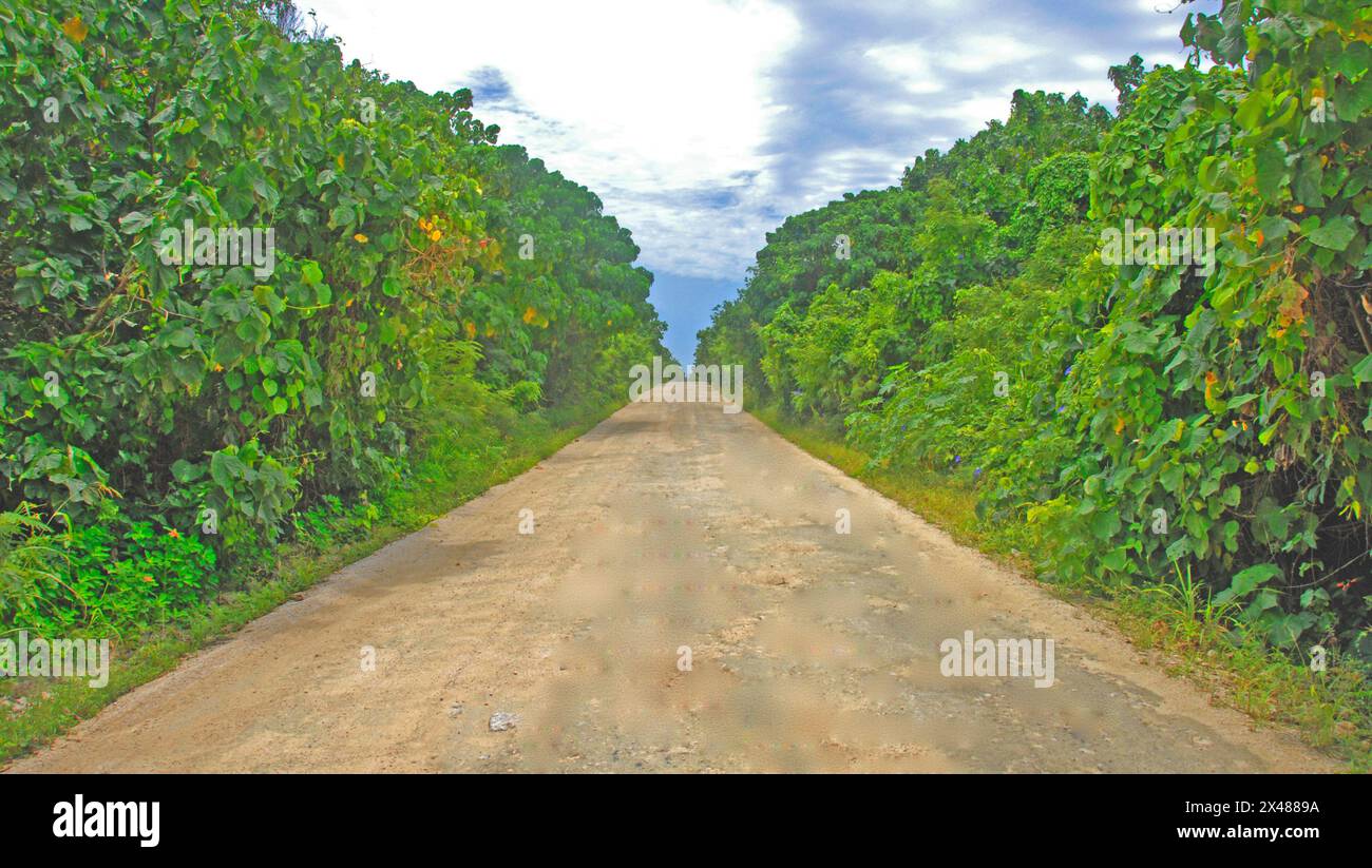 road scene, Efate island, Vanuatu Stock Photo - Alamy