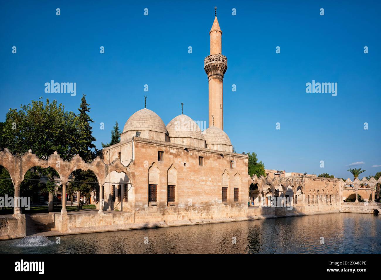Abraham's Pool where the prophet was thrown into fire by King Nimrod ...