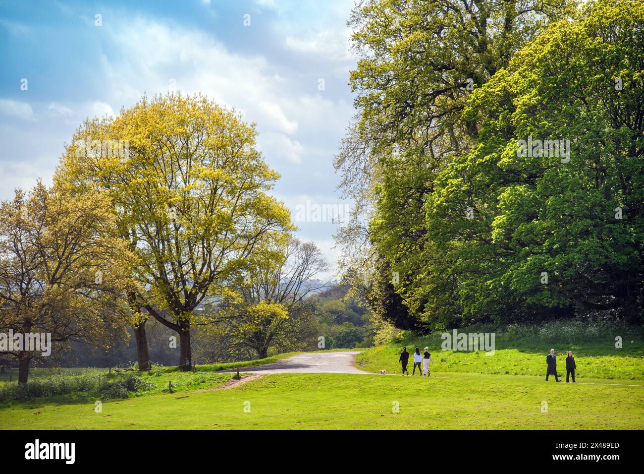 Ashton Court, Bristol UK Stock Photo - Alamy