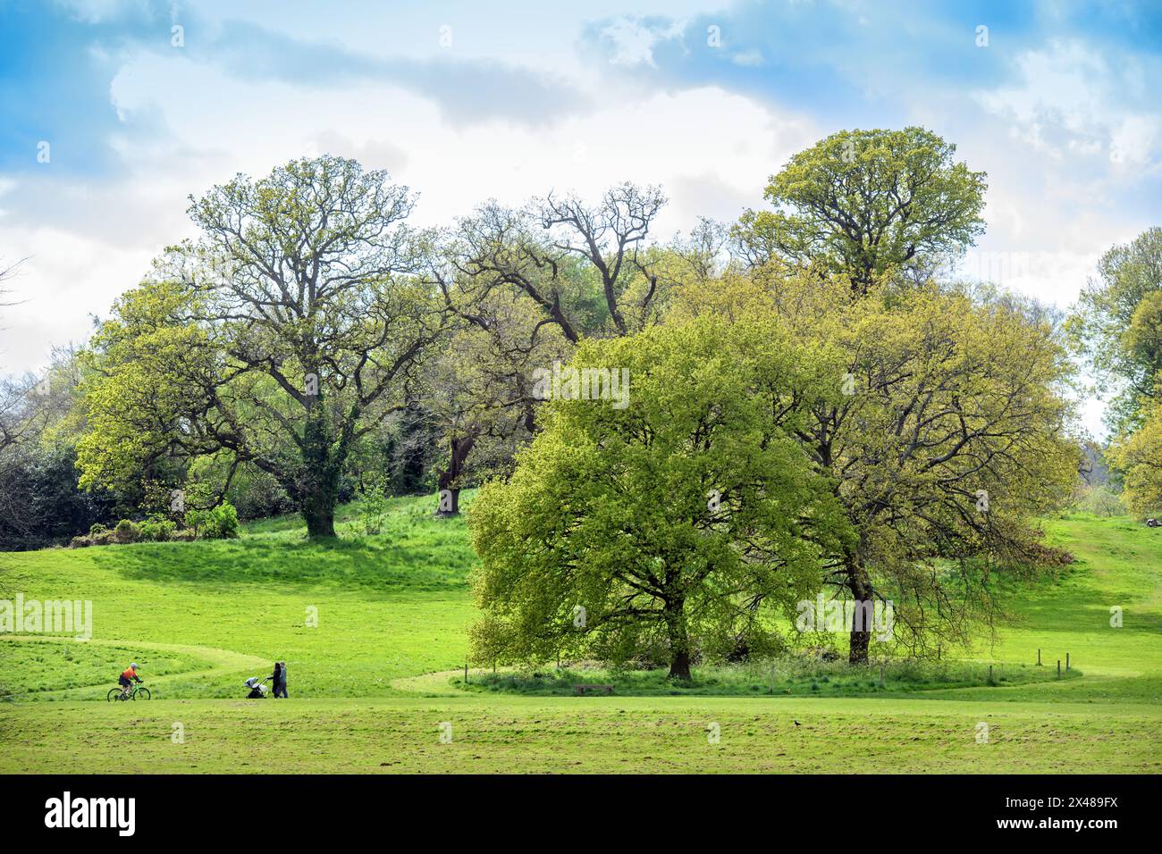 Ashton Court, Bristol UK Stock Photo - Alamy