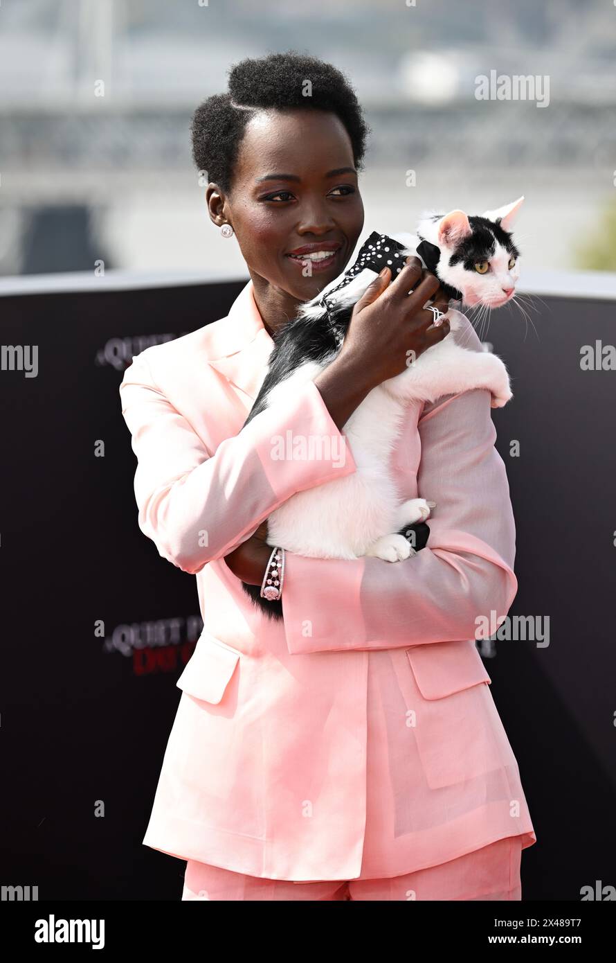 London, UK. May 1st, 2024. Lupita Nyong’o and Frodo the Cat at A Quiet ...