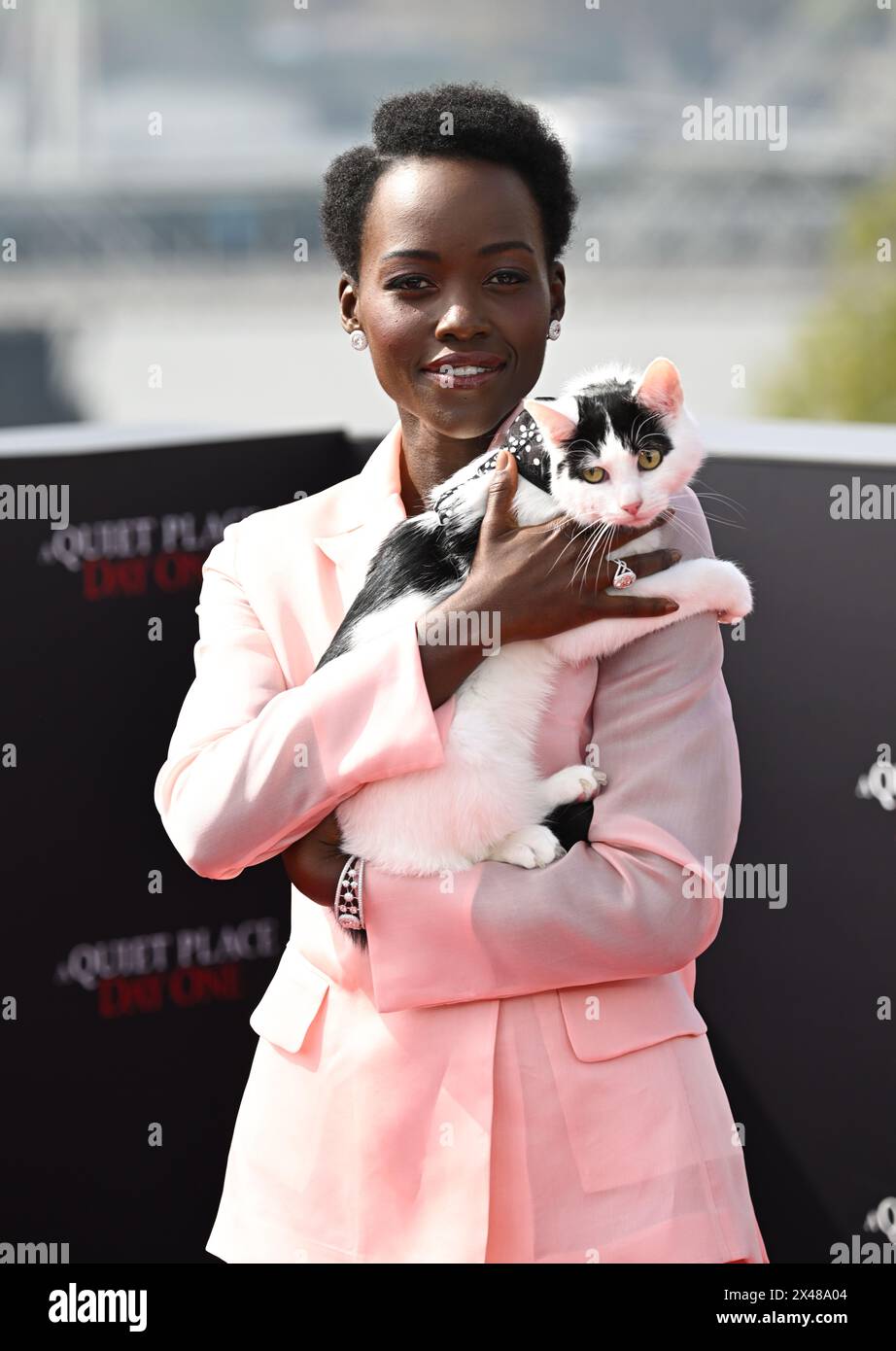 London, UK. May 1st, 2024. Lupita Nyong’o and Frodo the Cat at A Quiet ...