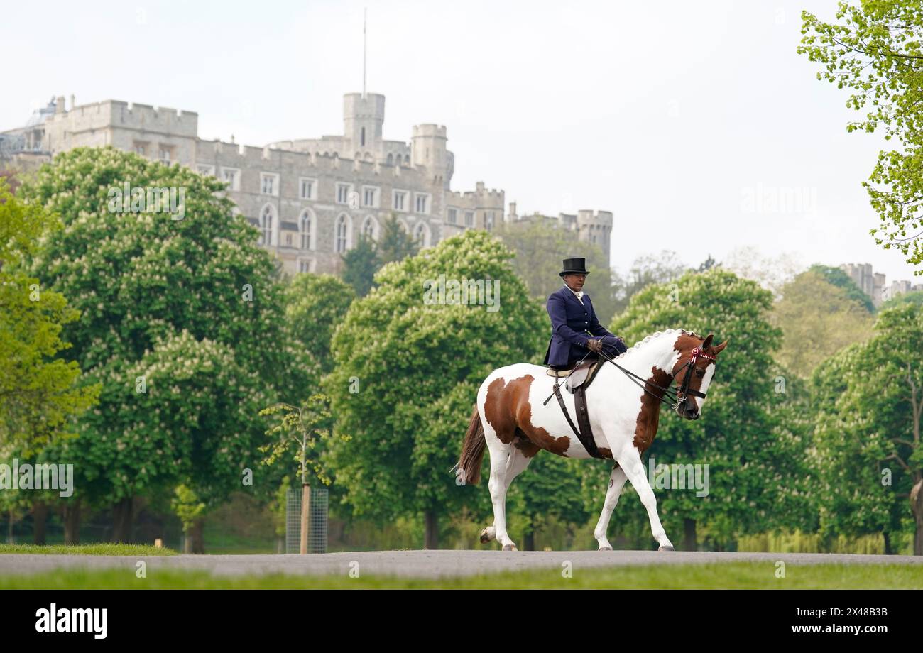 Katie Jerram-Hunnable riding His Majesty the Kings's Sunbeam during a ...