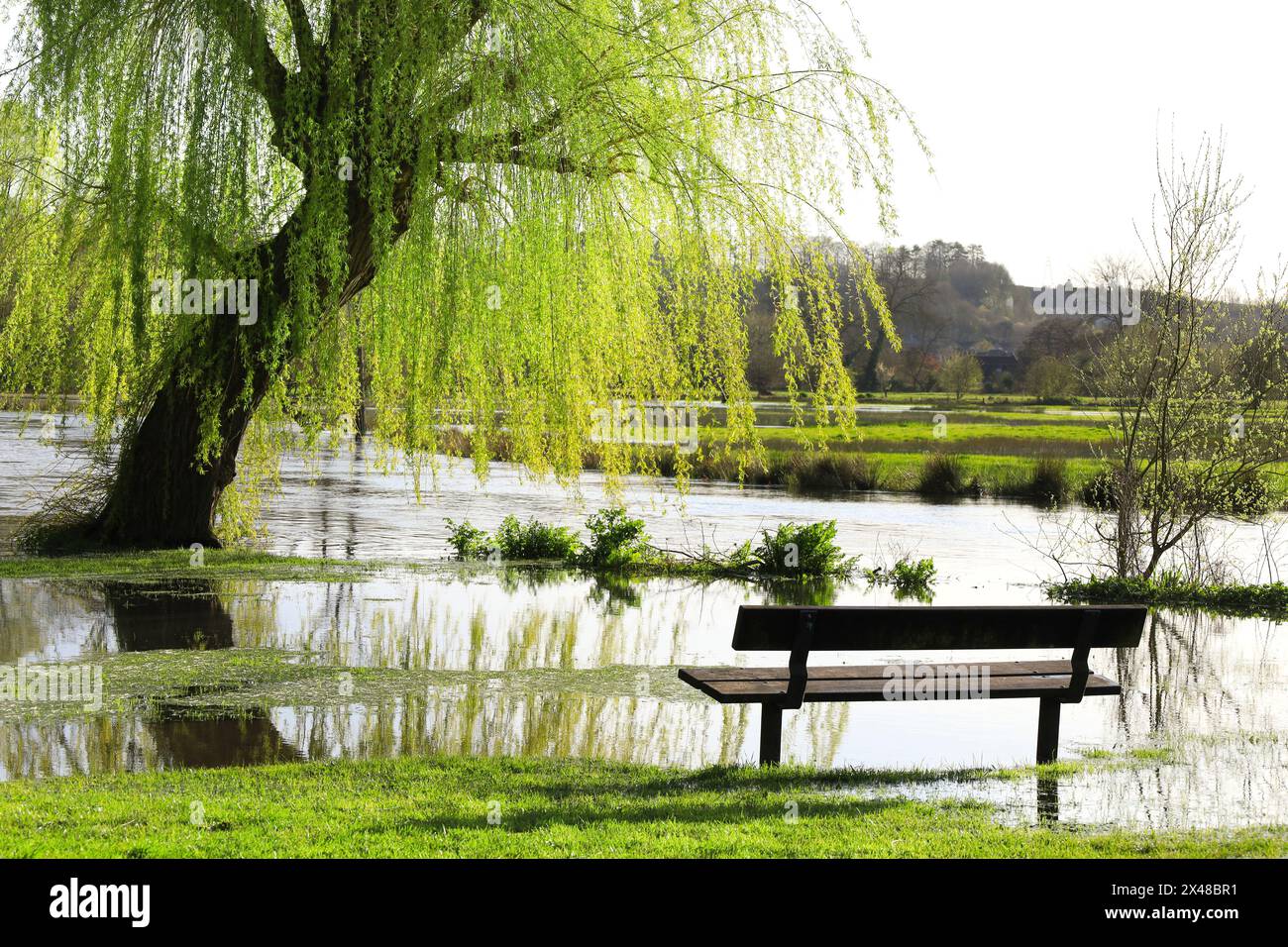 The River Avon Burst its banks in Queen Elizabeth Gardens in Salisbury ...