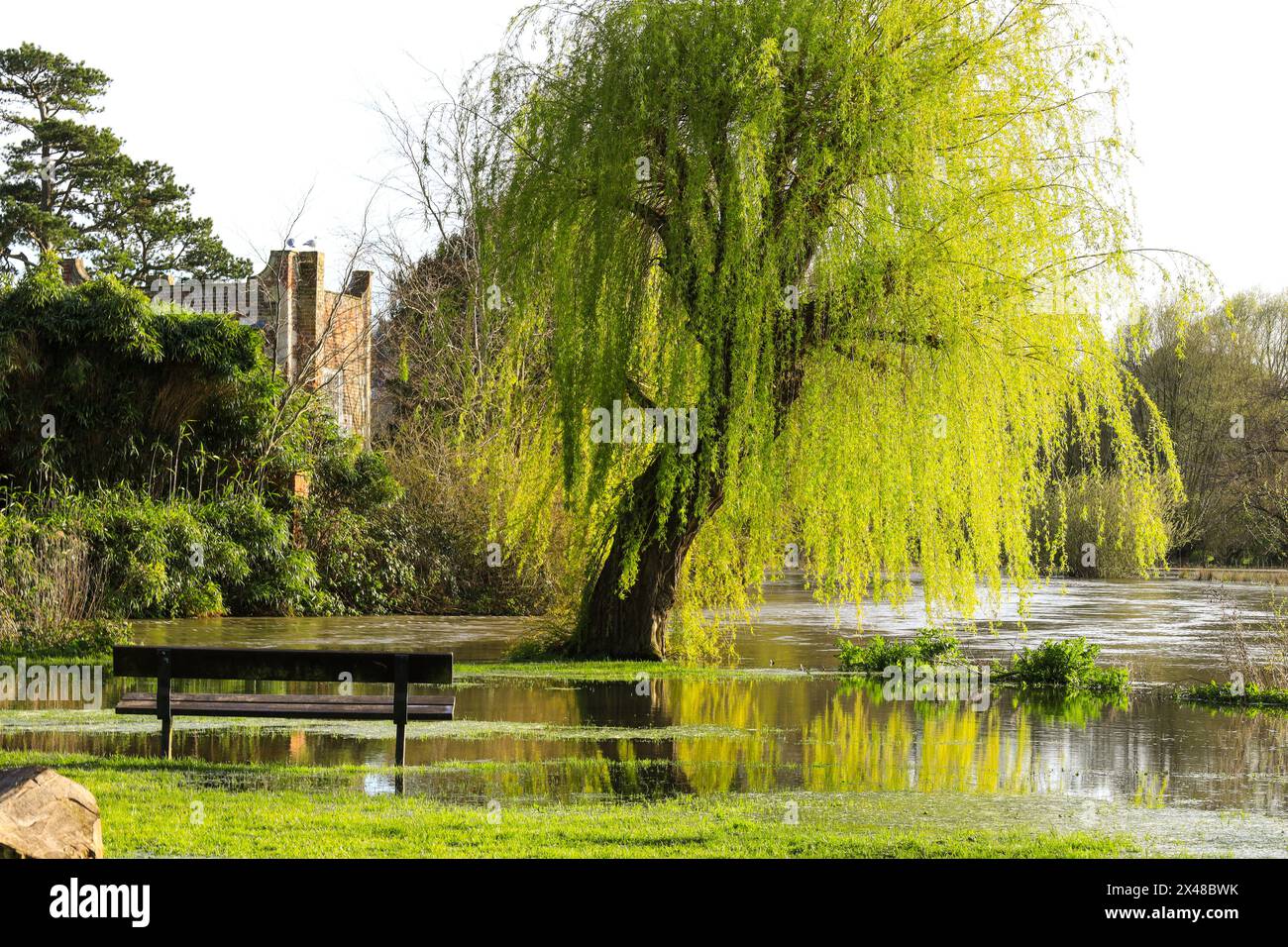 The River Avon Burst its banks in Queen Elizabeth Gardens in Salisbury ...