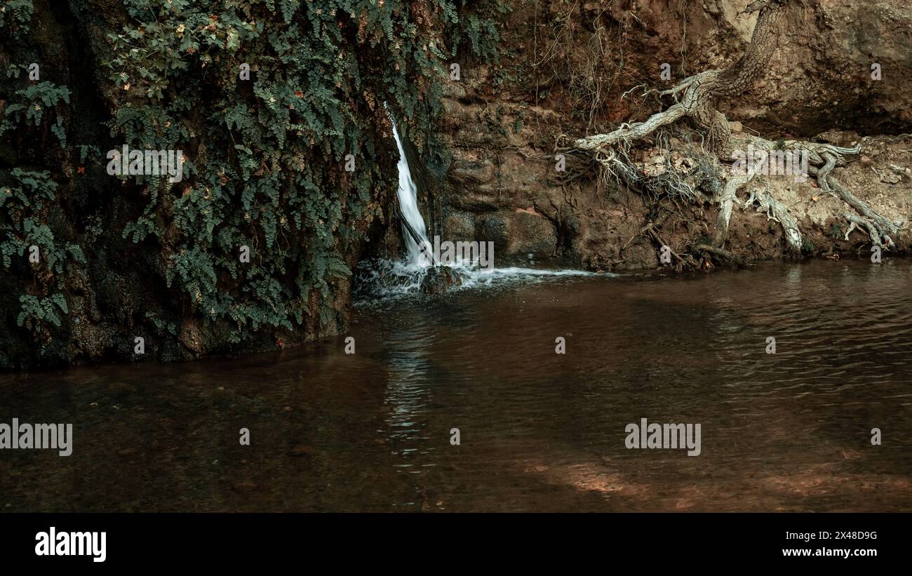 A small waterfall flows in the forest, nestled between trees and plants ...