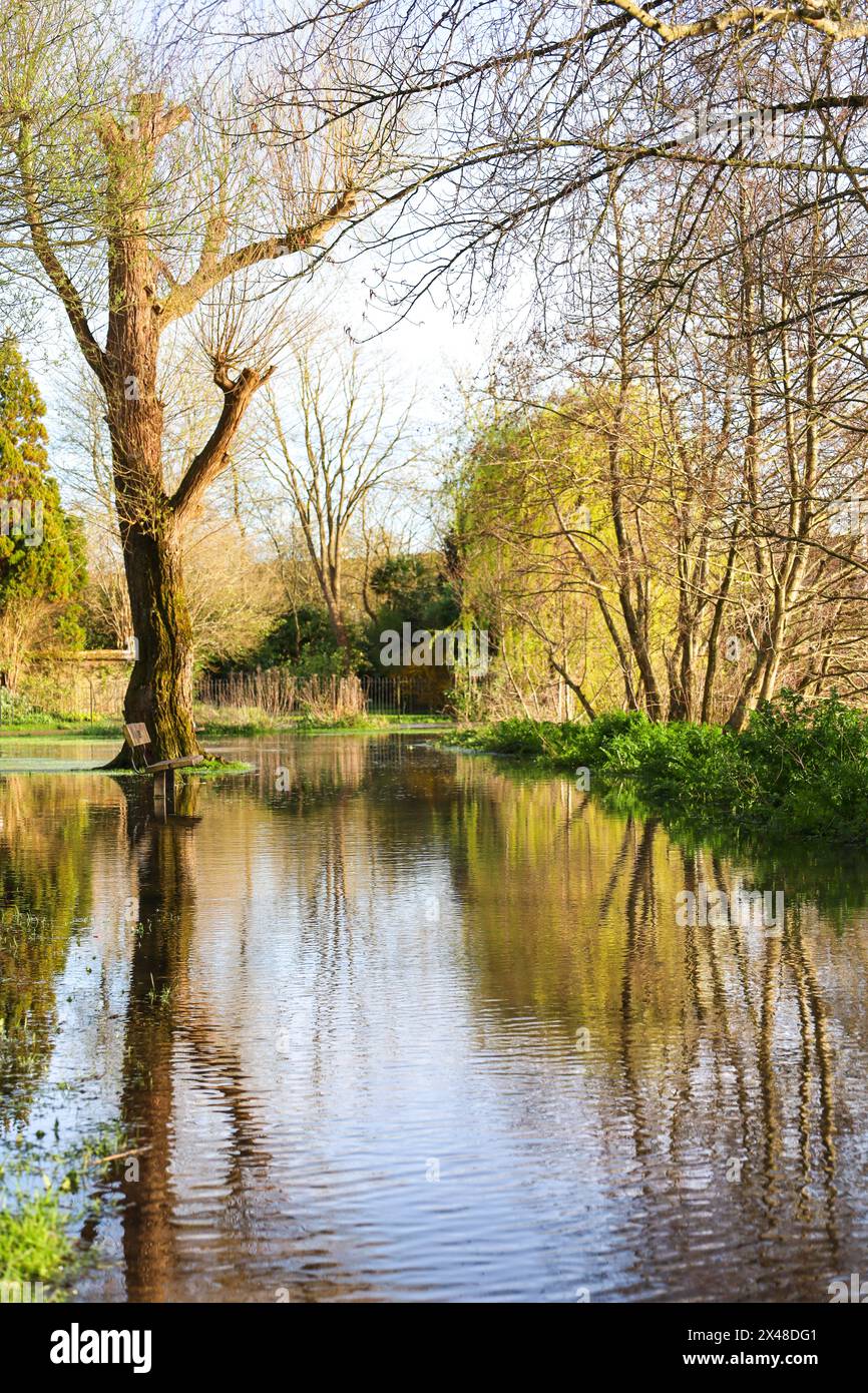 The River Avon Burst its banks in Queen Elizabeth Gardens in Salisbury ...