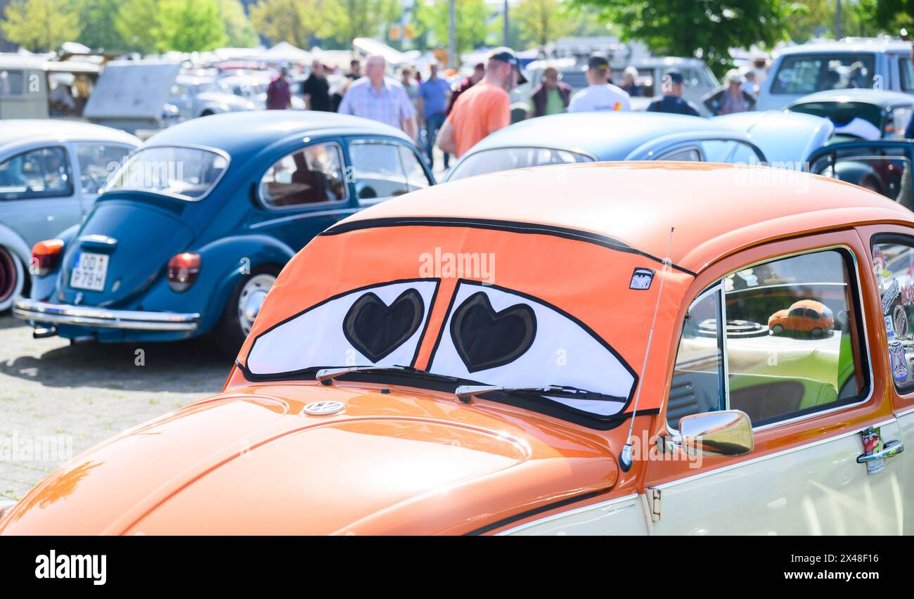 Hanover, Germany. 01st May, 2024. Volkswagen Beetles line up at the ...