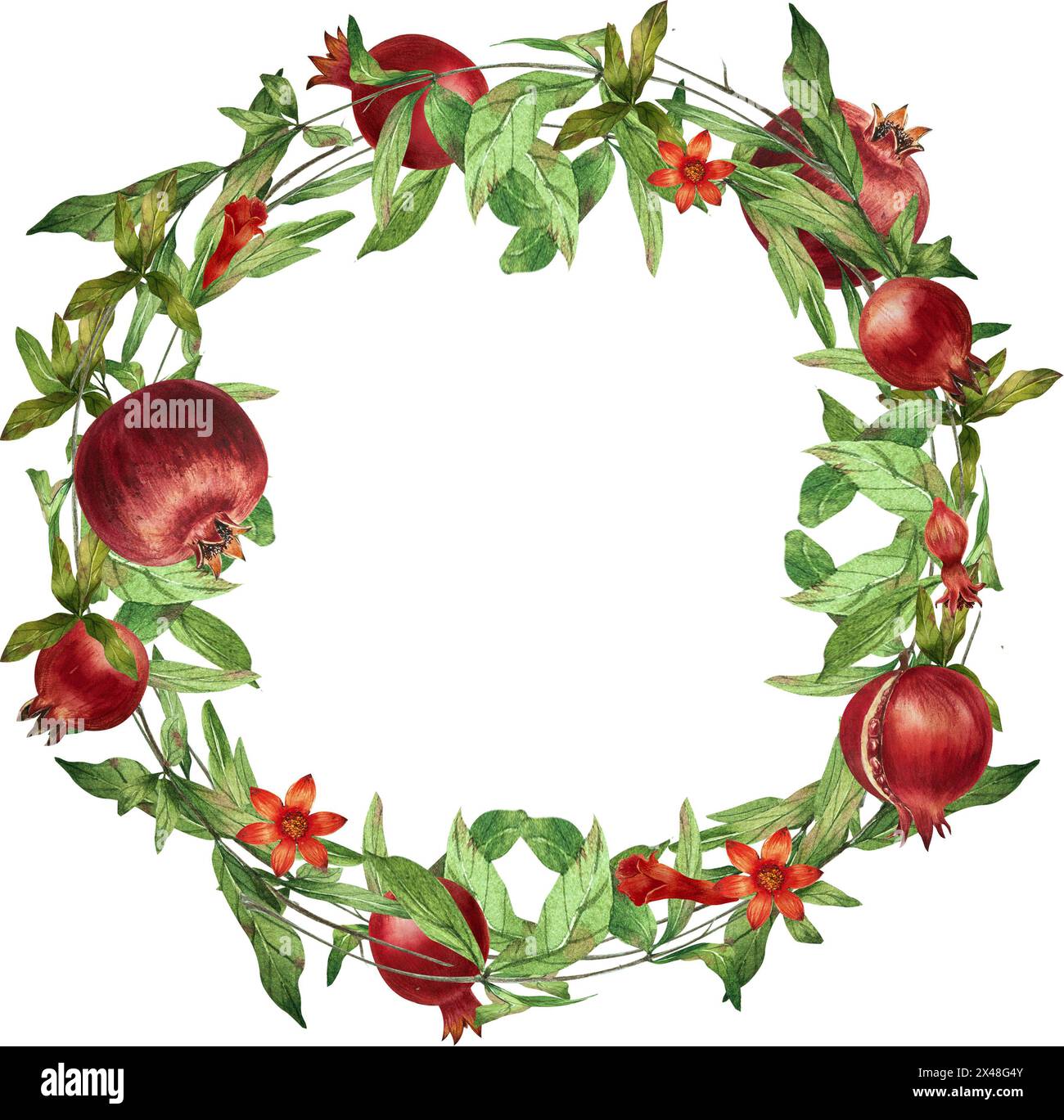 Pomegranate, wreath, frame, fruit, illustration, decoration, invitation ...